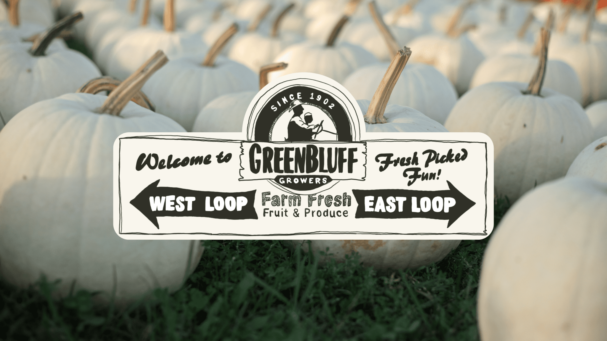 Exploring Green Bluff With McInturff & Co.